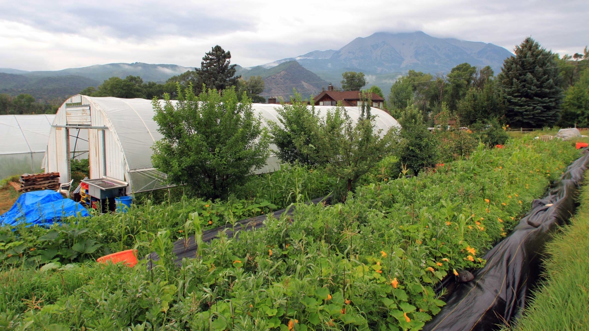 Sunfire Ranch - A Home For Agricultural Innovation - Wild Mountain Seeds