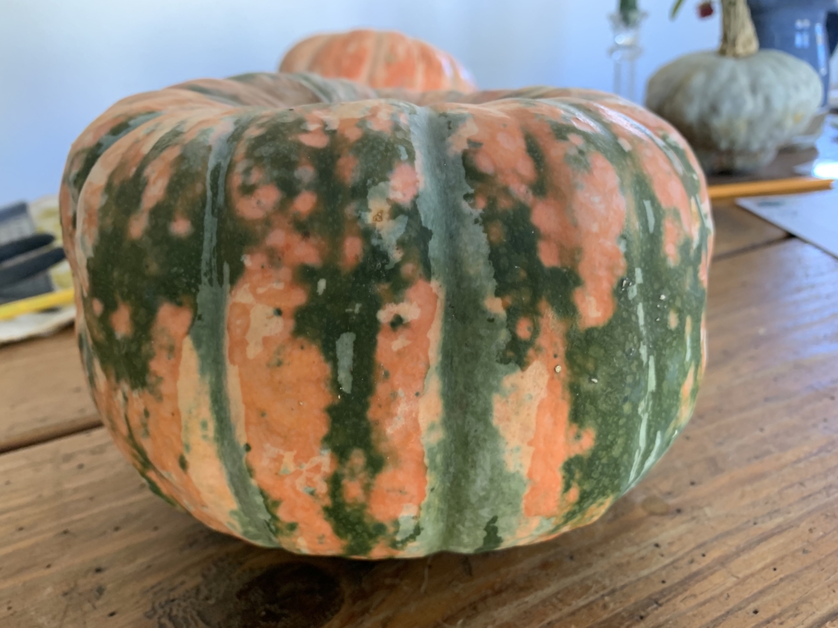 Winter Squash Archives - Wild Mountain Seeds